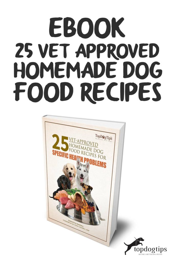 25 Vet Approved Homemade Dog Food Recipes (FREE eBook)