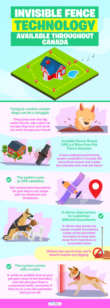 The Latest Invisible Fence Technology is Available Throughout Canada ...