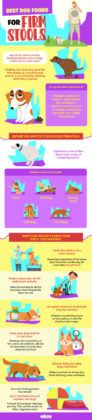 Top 7 Best Dog Food for Firm Stools Brands