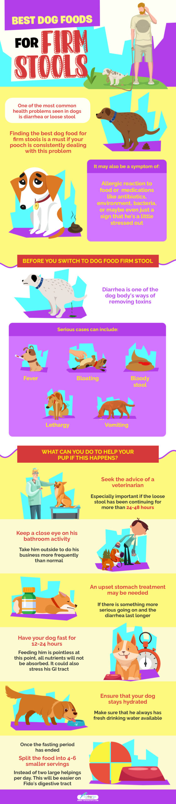 Top 7 Best Dog Food for Firm Stools Brands in 2019