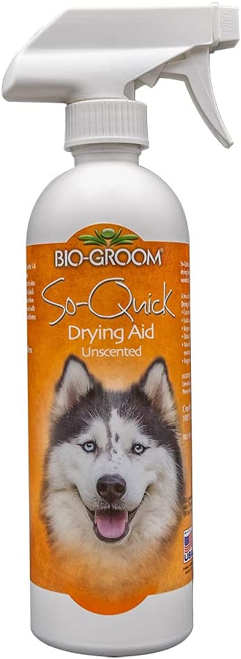 How To Dry Your Dog: Effective Tips And Tricks