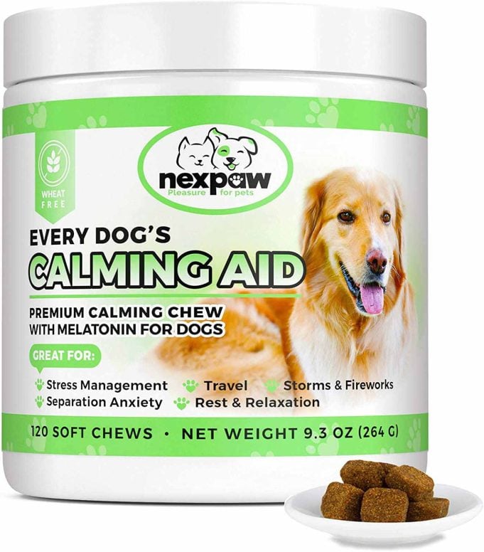 12 Best Dog Anxiety Medications: OTC & Calming Supplements
