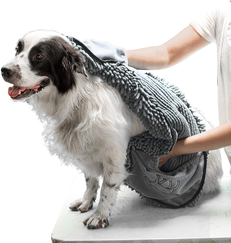 How To Dry Your Dog: Effective Tips And Tricks