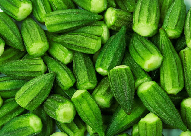 10 Natural Diuretics for Dogs: Foods, Herbs, and Others