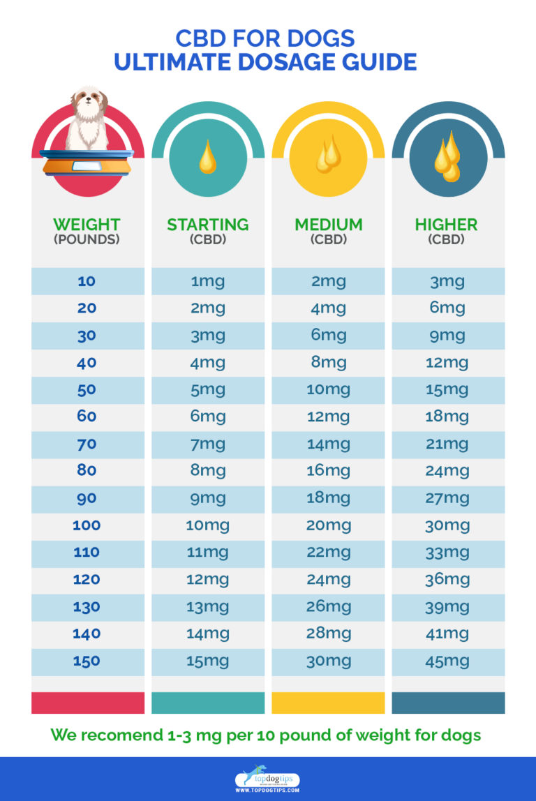 CBD and Dogs: Dosage for Oil, Treats, Pills, Liquids and More [Infographic]