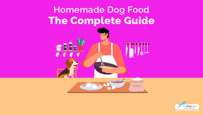Homemade Dog Food: The Complete Guide