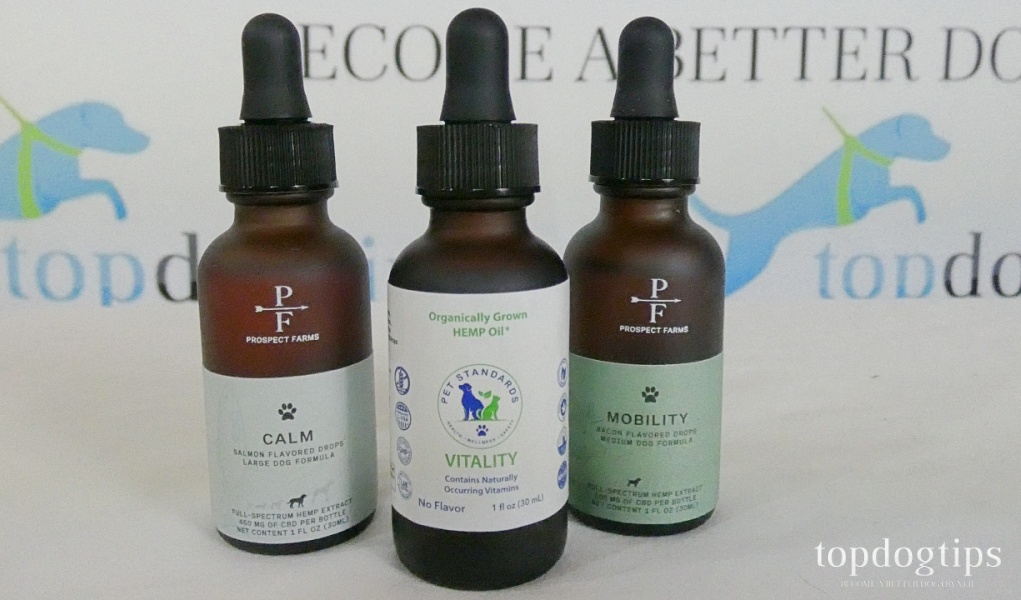 Giveaway: CBD Tinctures for Dogs ($120+ Value)
