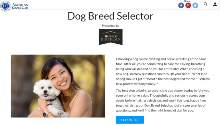 4 Best Online Dog Breed Selector Quizzes
