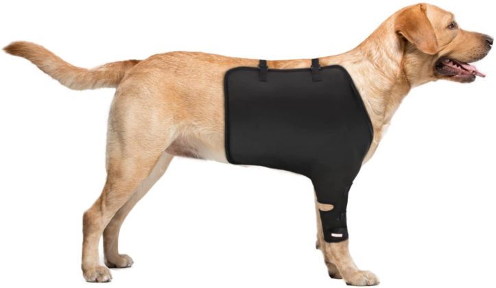 Recovery Dog Sleeve: Our Top 5 Choices