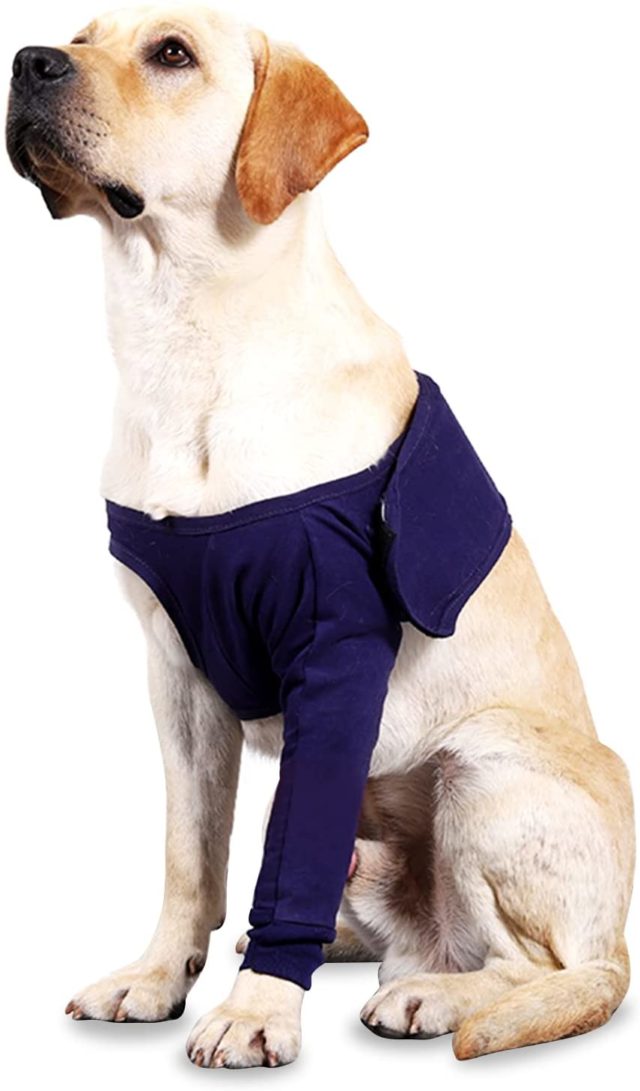 Recovery Dog Sleeve: Our Top 5 Choices