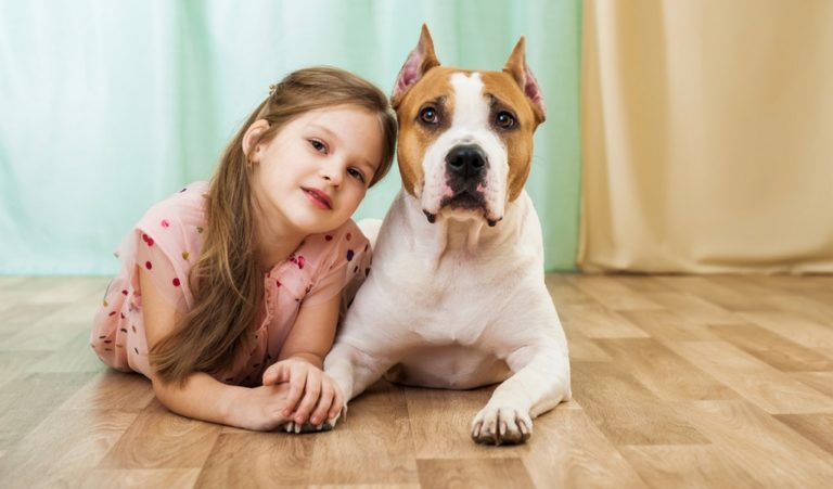 Are Pit Bulls Nanny Dogs? Debunking the Nanny Dog Myth