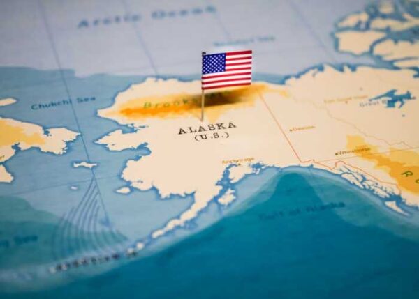 Alaska Pet Stores, Dog Parks, Shelters, and More