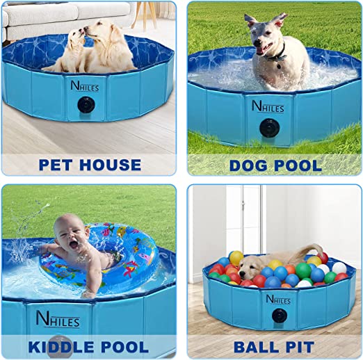 20 Cool Dog Summer Accessories – Top Dog Tips