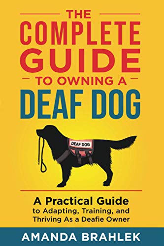 Deaf Dog Training: Everything You Need to Know – Top Dog Tips