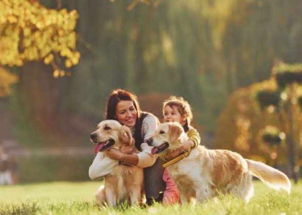 Indiana Pet Stores, Dog Parks, Shelters, and More
