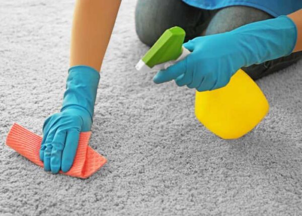 How to Clean Dog Vomit from Carpet – Top Dog Tips
