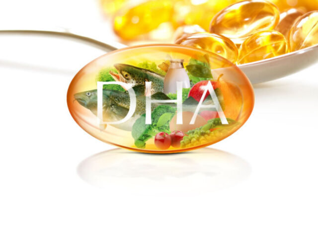 DHA For Dogs: The Importance and Benefits of DHA In Your Dog's Diet