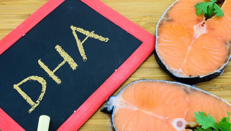 DHA For Dogs: The Importance and Benefits of DHA In Your Dog's Diet