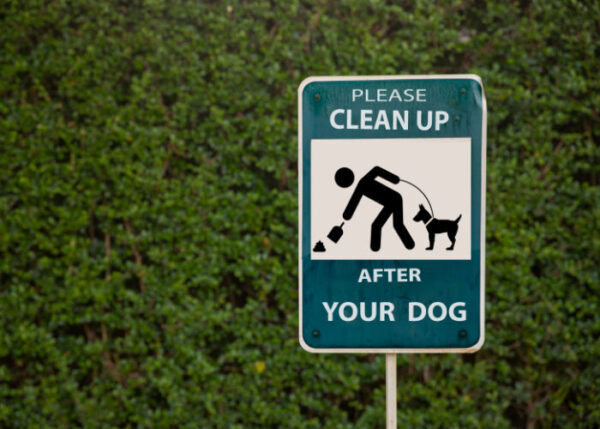 Dog Park Rules and Regulations: What You Need To Know – Top Dog Tips