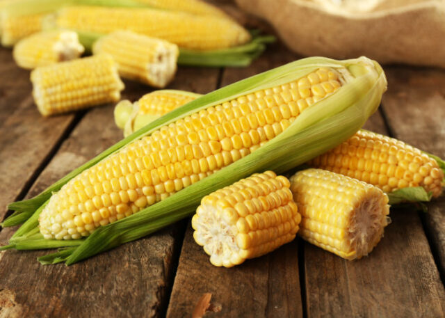 Can Dogs Eat Corn? (And Other Corn Forms) – Top Dog Tips