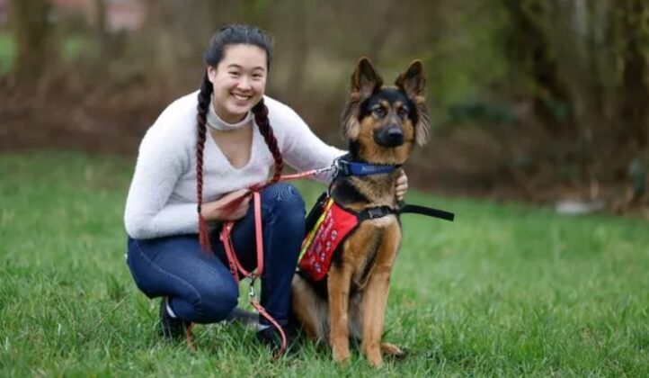 Service Dog Saves Owner From House Fire by Licking Her Face – Top Dog Tips