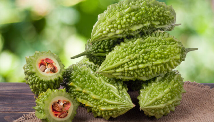 Can Dogs Eat Bitter Gourd: Benefits & Risks – Top Dog Tips