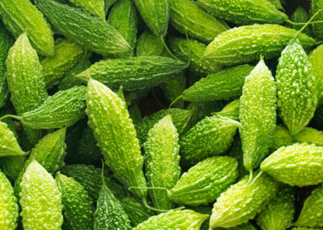 Can Dogs Eat Bitter Gourd: Benefits & Risks – Top Dog Tips