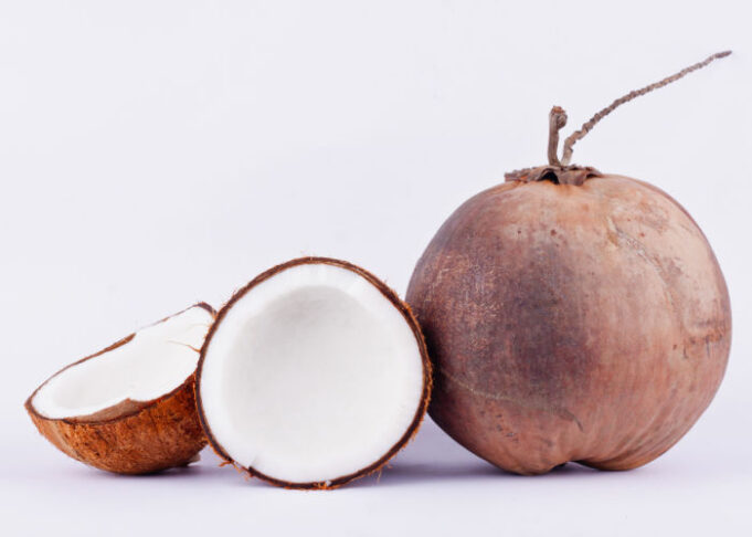 Can Dogs Eat Coconut? 5 Health Benefits for Your Pooch – Top Dog Tips