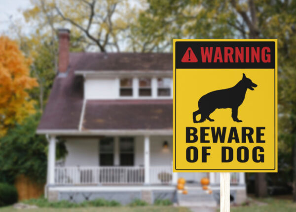 Northern Ireland Ranks 2nd Highest Number of Dog Attacks on Royal Mail ...