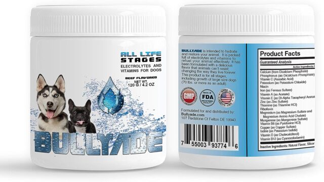 Pit Bull Muscle Gaining 101: Bulk Up a Pit Bull Healthfully