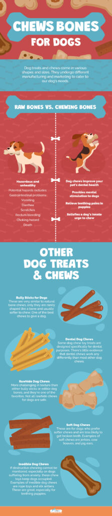 Best Chew Bones for Dogs (9 Recommended Bone Chews for Fido to Try!)