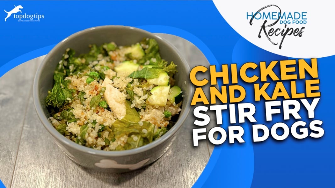 Recipe: Chicken and Kale Stir Fry for Dogs – Top Dog Tips