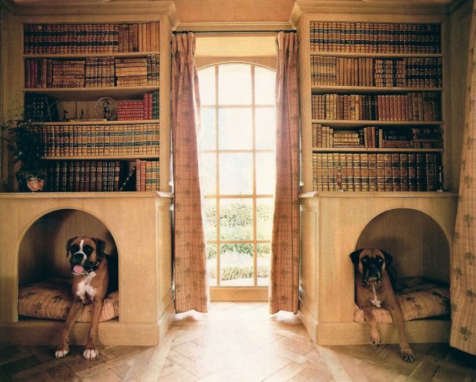 Dog Corner Ideas: 12 Fun & Functional Spaces for Your Pet!