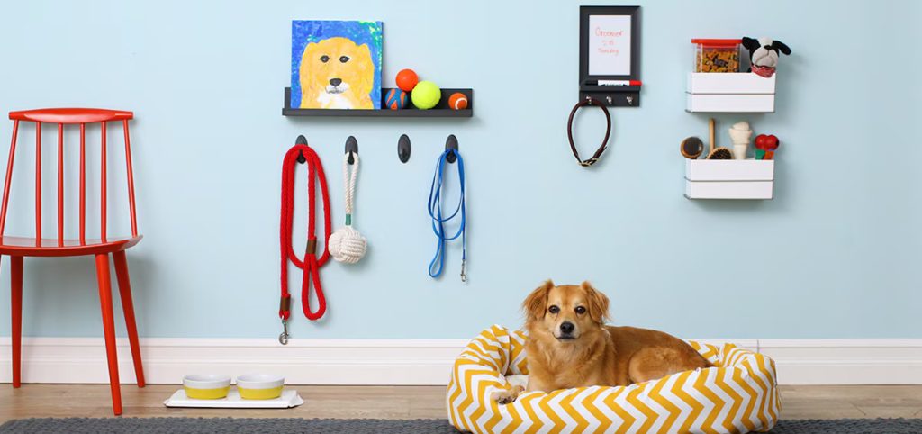 Dog Corner Ideas: 12 Fun & Functional Spaces for Your Pet!