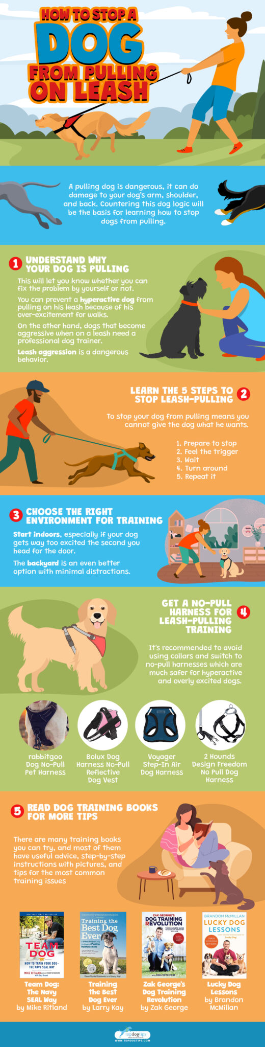 How to Stop a Dog from Pulling: 5 Easy Steps to Quickly Fix This Behavior