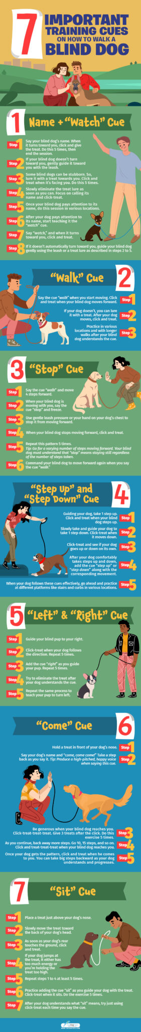 7 Important Training Cues on How to Walk a Blind Dog