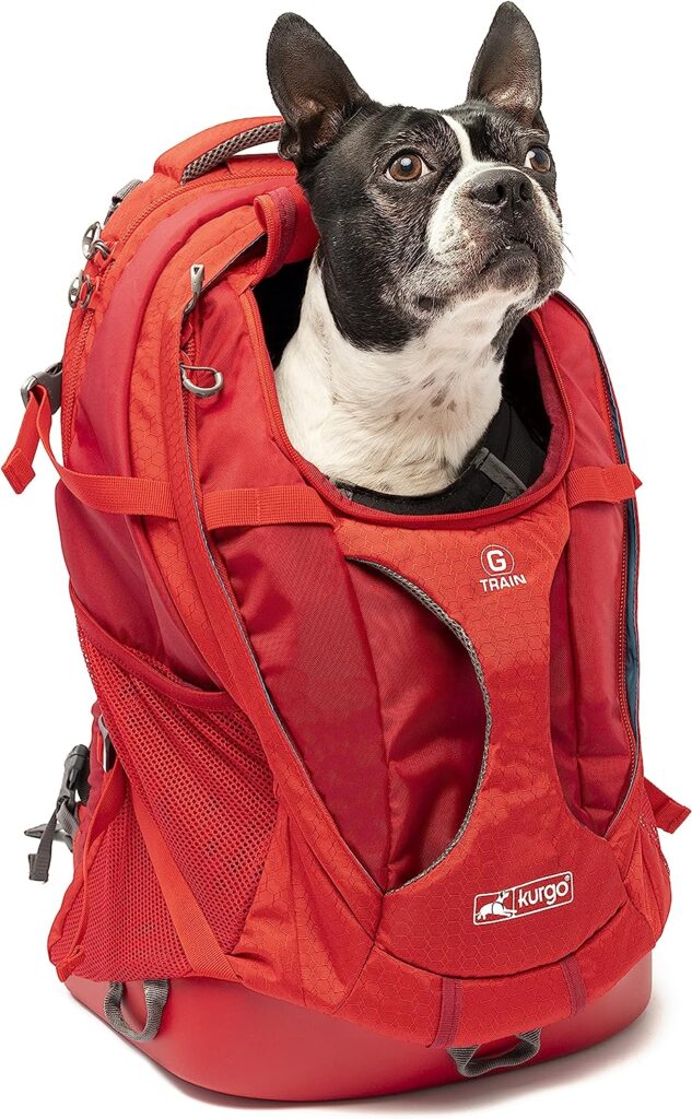 Backpacks to Carry Dogs: How to Bring Your Small Dog Everywhere – Top ...