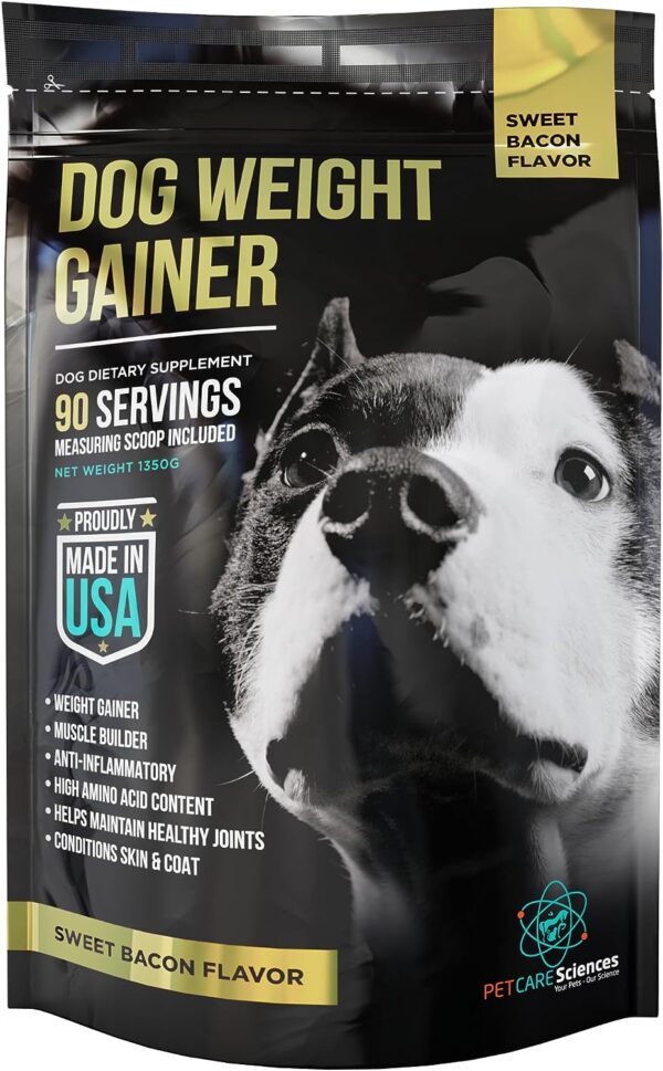 Muscle Builder for Dogs: What It Is, How to Use It and Best Brands to Buy
