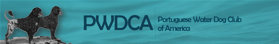 200 Dog Breed-Specific Websites – Top Dog Tips