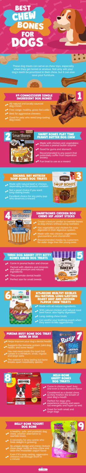 Best Chew Bones for Dogs (9 Recommended Bone Chews for Fido to Try!)