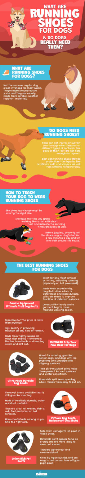 What Are Running Shoes for Dogs and Do Dogs Really Need Them?