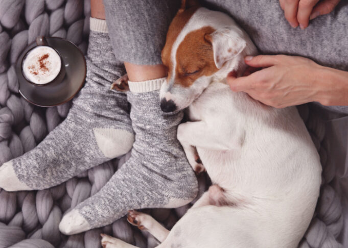 Why Does My Dog Sleep at My Feet? – Top Dog Tips