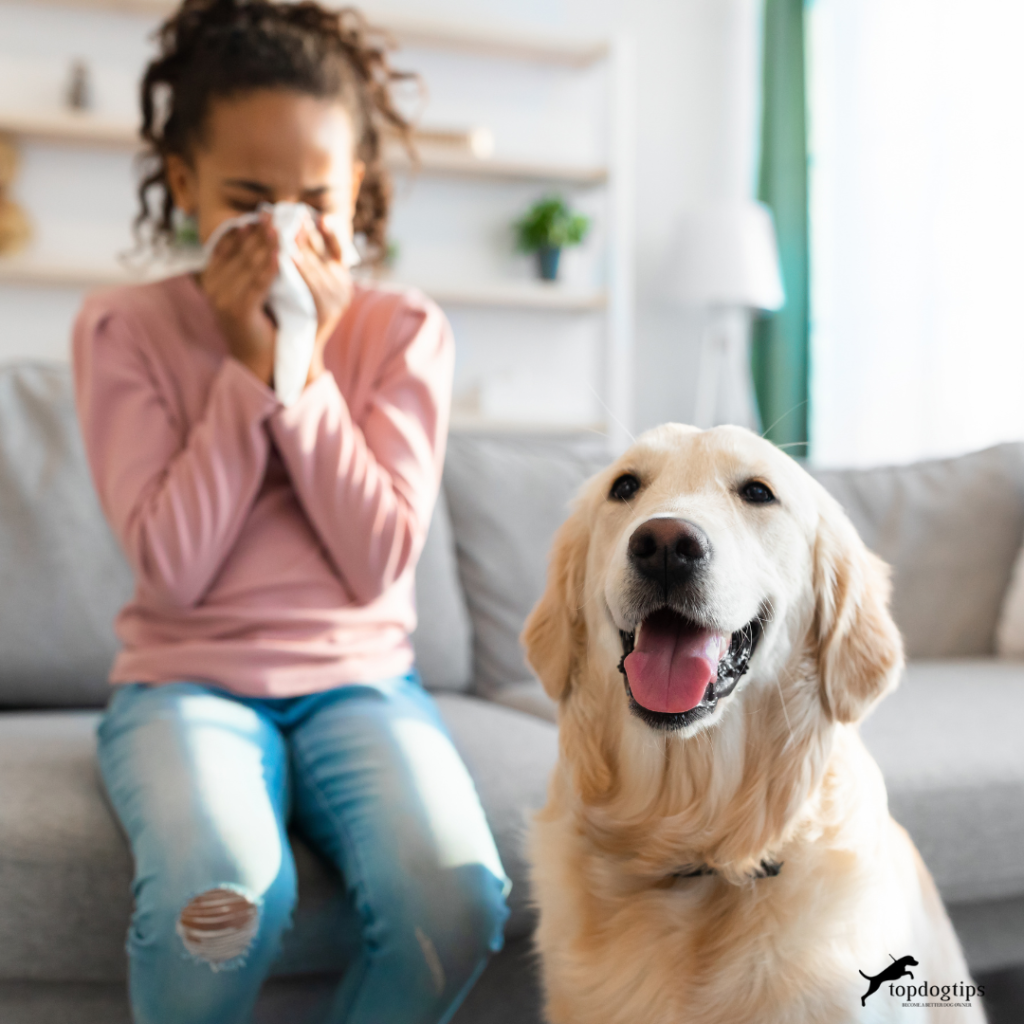 38 Non-Shedding Dog Breeds (For Allergic People!)