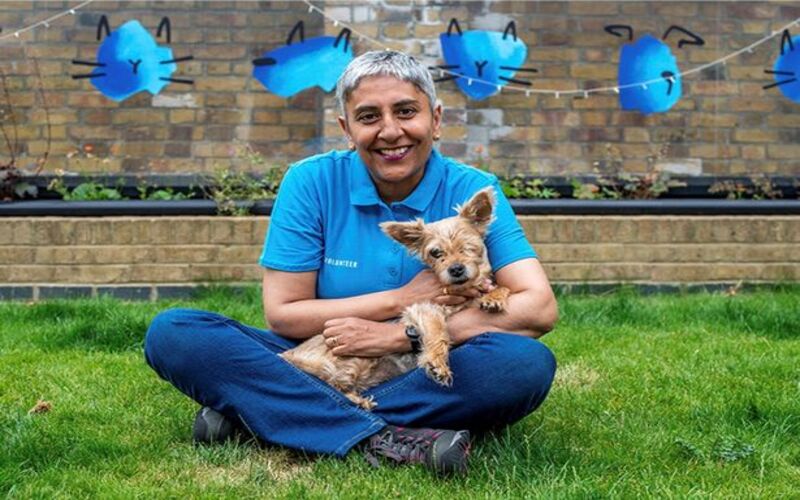 Remembering Honey: The One-Eyed Rescue Dog That Starred Animal Welfare ...
