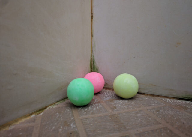 Are Mothballs Toxic to Dogs? Symptoms and Treatments