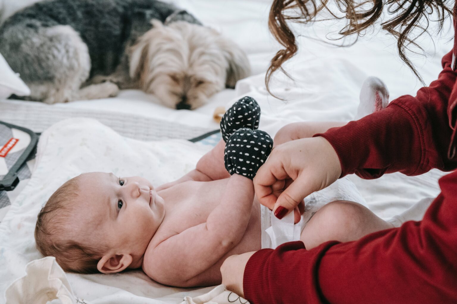 My Dog Ate a Diaper! Should I Be Worried? – Top Dog Tips